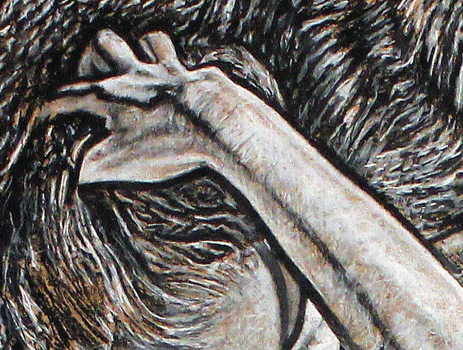 Repose by Tom Mallon - Charcoal and Chalk on Kraft Paper